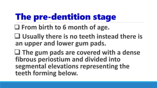 Development of dentition and occlusion | PPTX