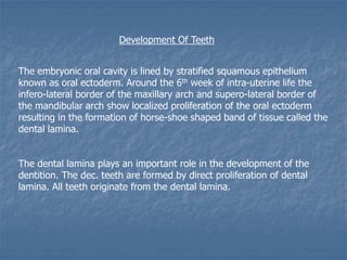 Development of dentition and occlusion | PPT