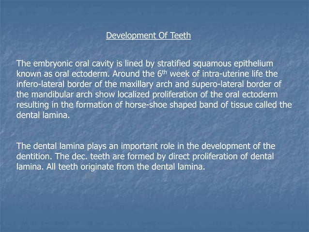 Development of dentition and occlusion | PPT | Dental Health | Diseases ...