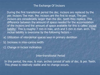 Development of dentition and occlusion | PPT