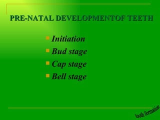 developement of dentition | PPT