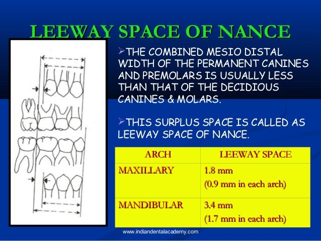 Development of dentition & occlusion class (2)