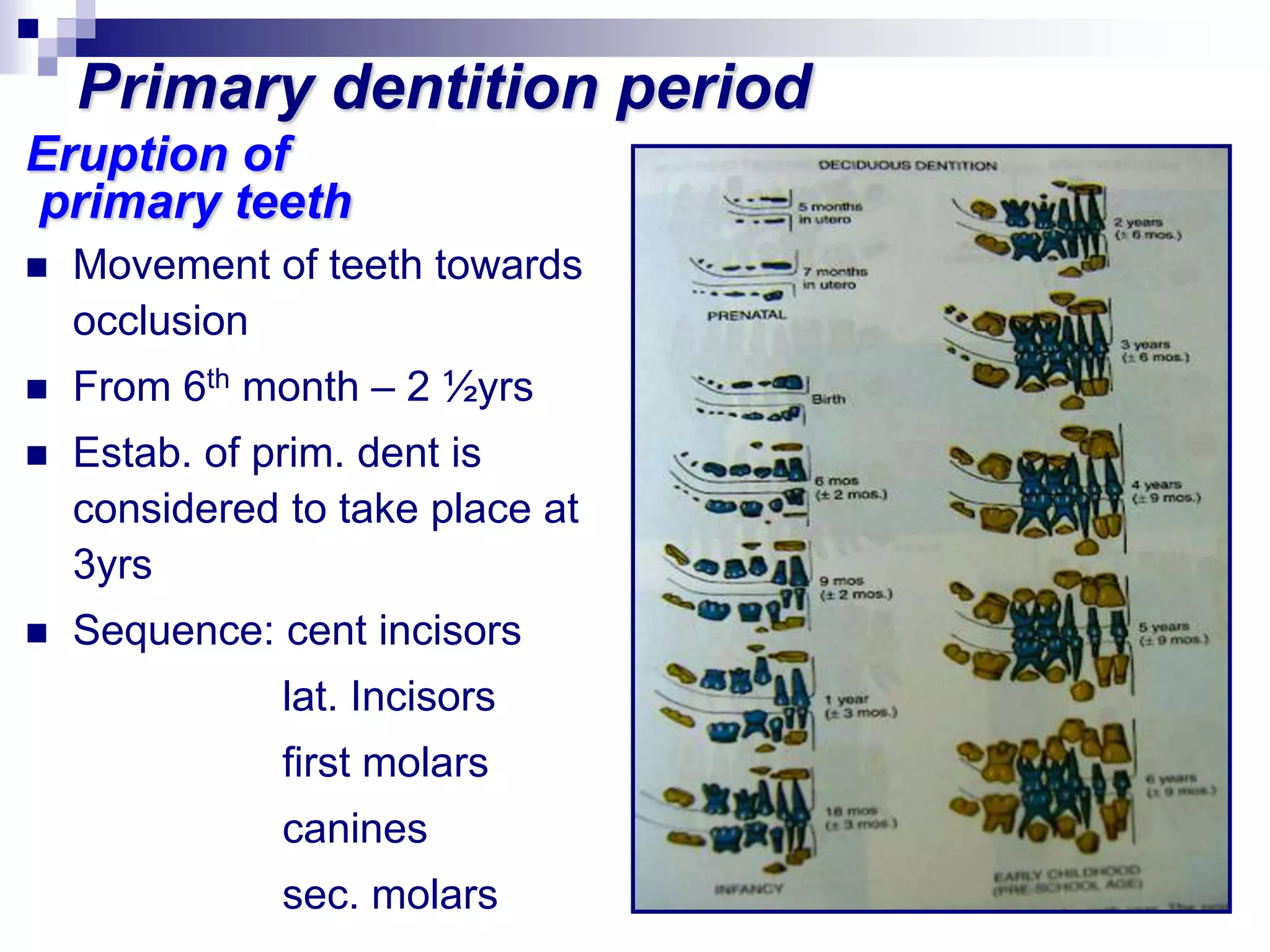 Development of dentition | PPT