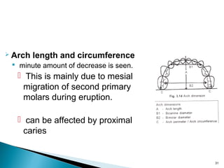 Development of dentiton and occlusion dr ajay srinivas | PPT