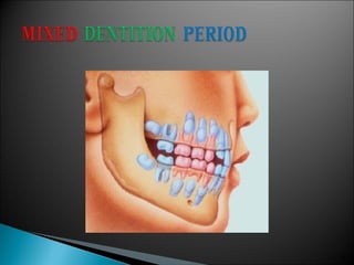 Development of dentiton and occlusion dr ajay srinivas | PPT