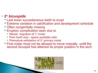 Development of dentiton and occlusion dr ajay srinivas | PPT