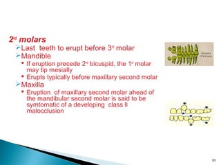 Development of dentiton and occlusion dr ajay srinivas | PPT