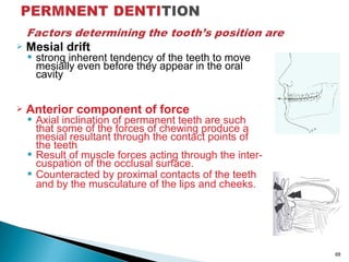 Development of dentiton and occlusion dr ajay srinivas | PPT