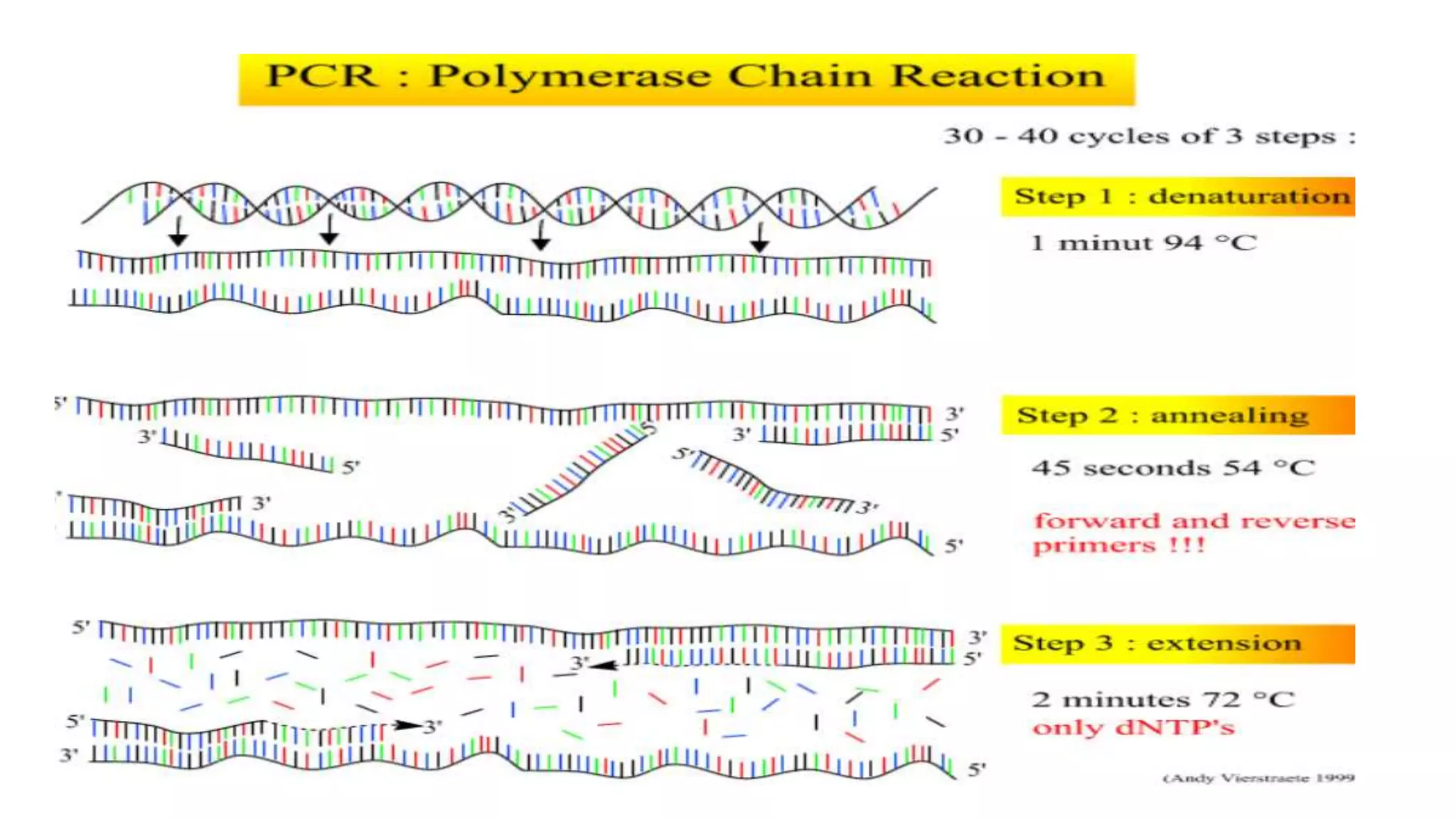 Development of diagnostic kits | PPTX