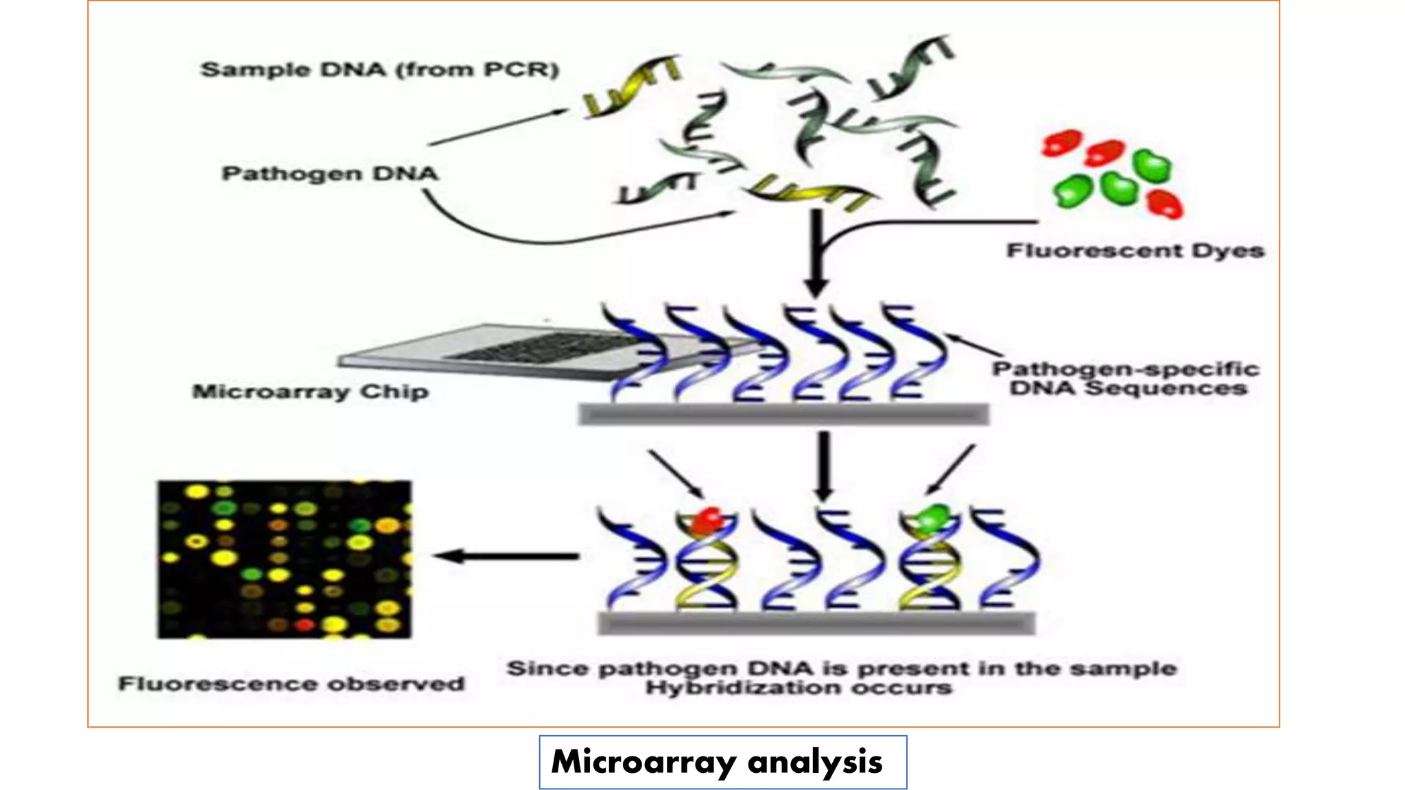 Development of diagnostic kits | PPTX