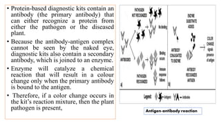 Development of diagnostic kits | PPTX