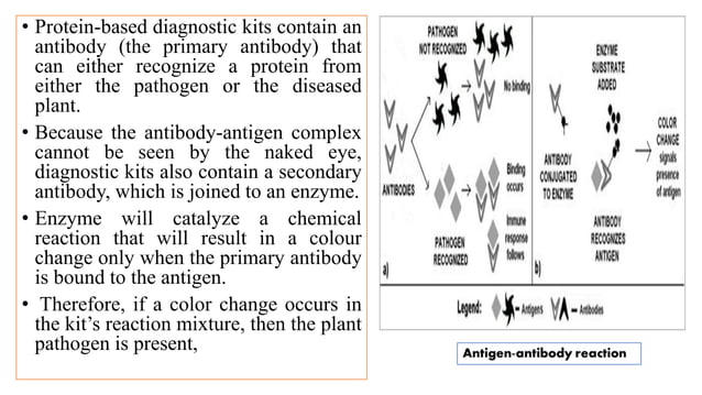 Development of diagnostic kits | PPTX