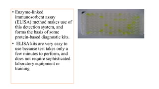Development of diagnostic kits | PPTX
