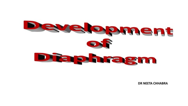 Development of diaphragm | PPTX