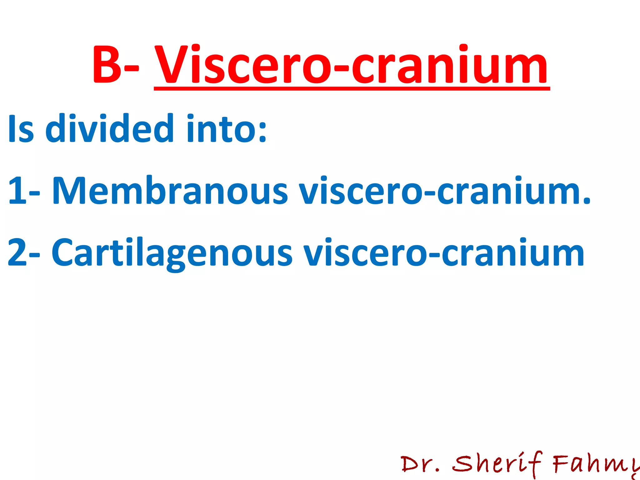 Development of Diaphragm, Skull, Vertebrae & Limbs (Special Embryology ...
