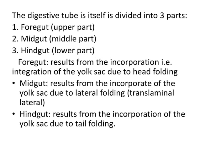 DEVELOPMENT OF DIGESTIVE SYSTEM.pptx | Digestive Disorders | Diseases ...