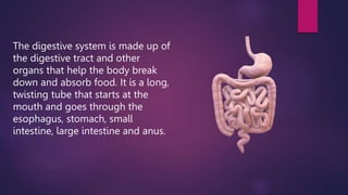 the fact about development of digestive system.pptx