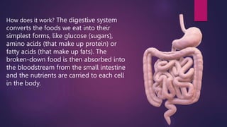 the fact about development of digestive system.pptx