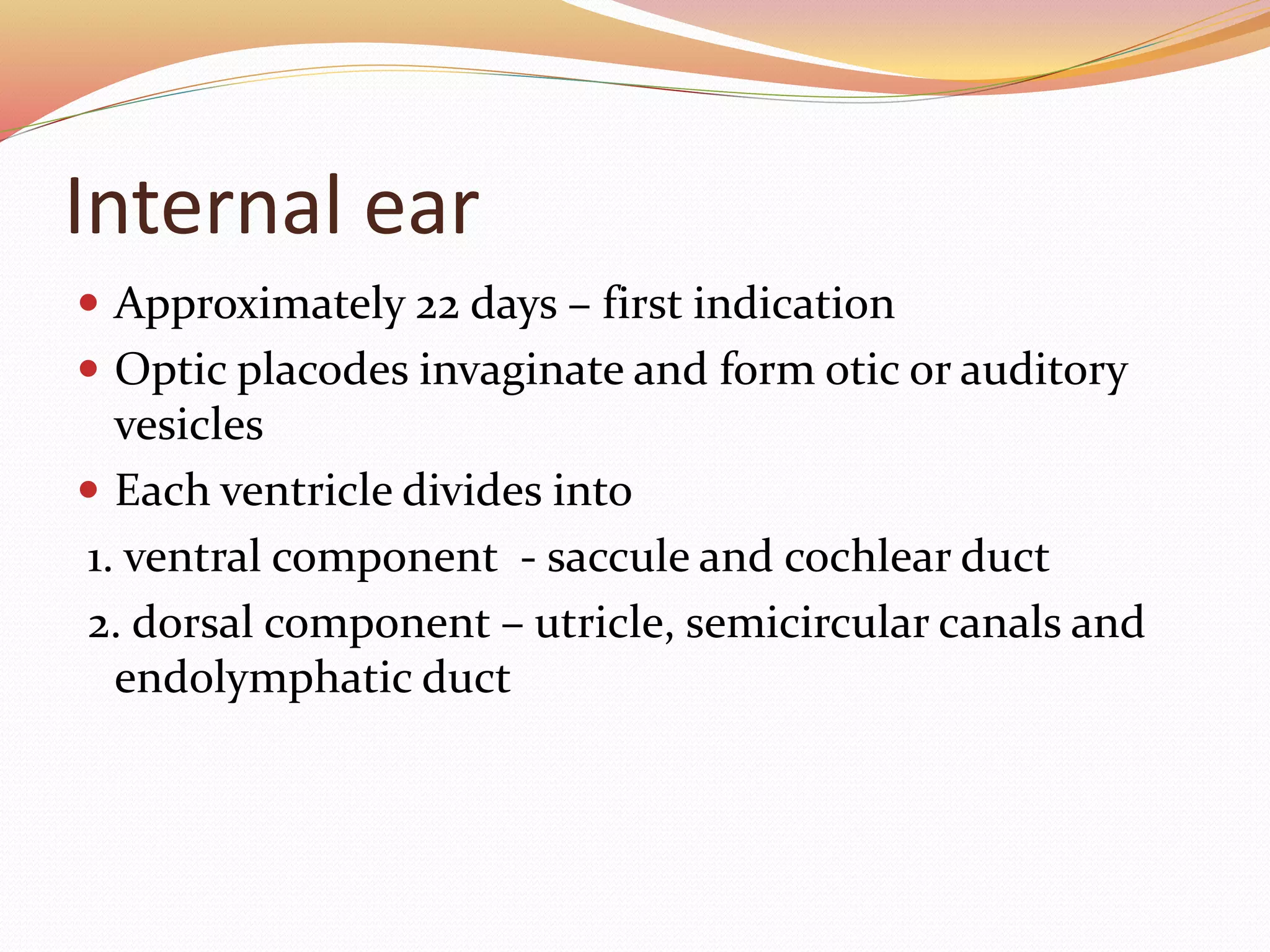Development of ear | PPTX