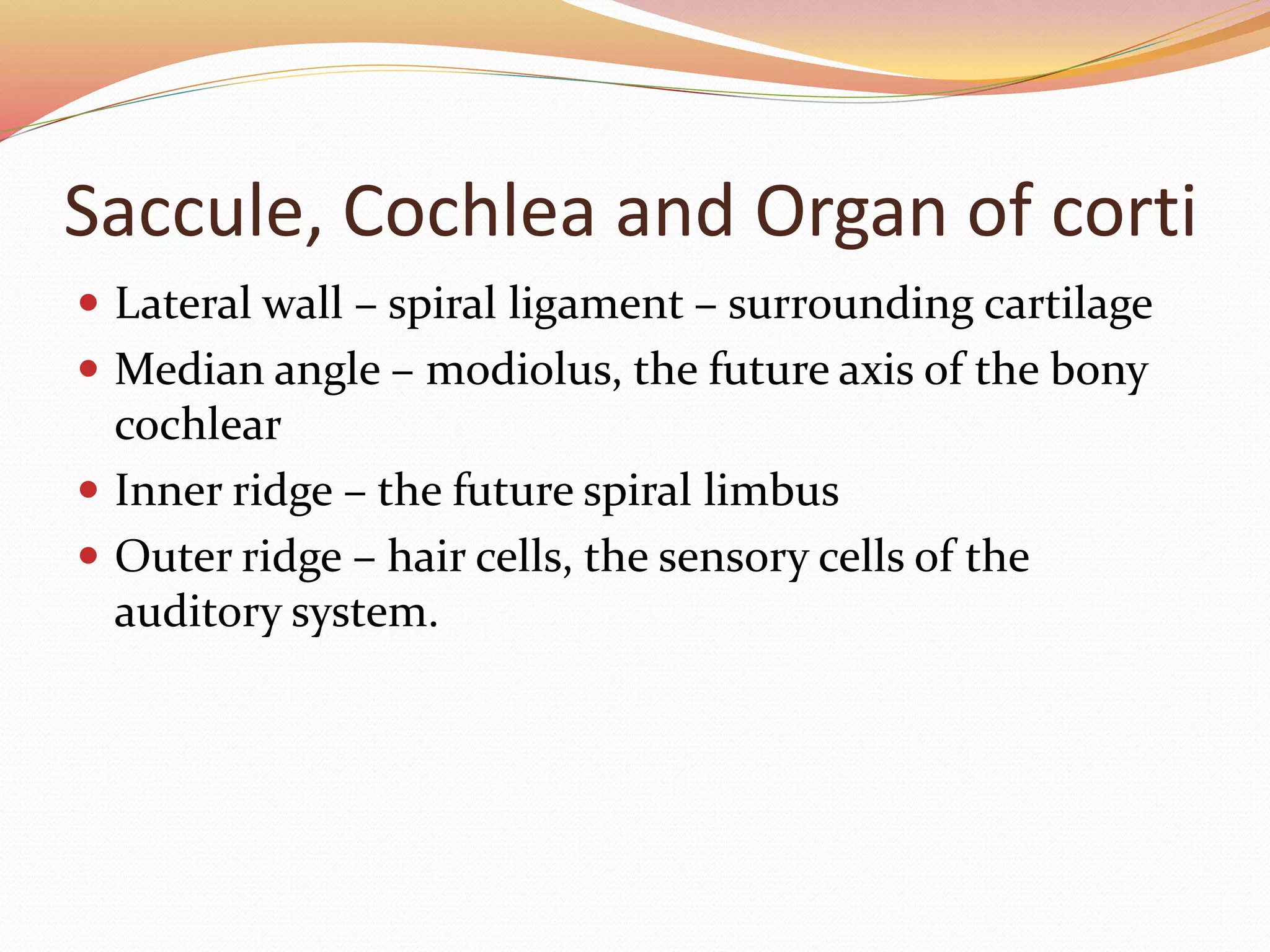 Development of ear | PPTX