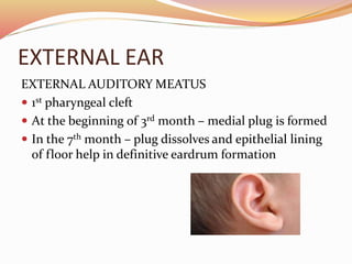 Development of ear | PPTX
