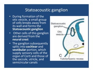 Development of ear.pdf Development of the Ear The ear develops from ...