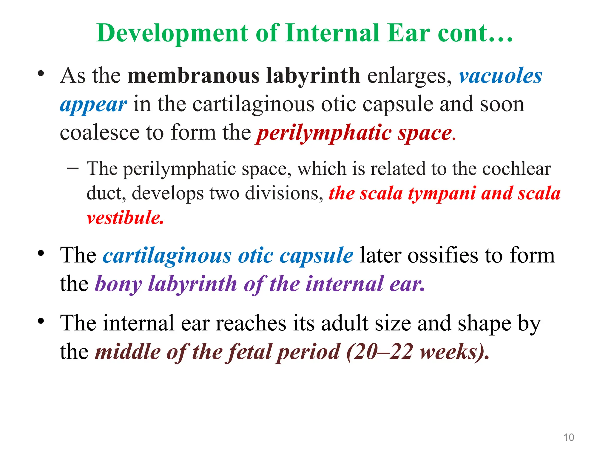 Embryological Development of ear ear.ppt