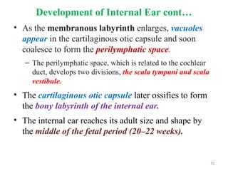 Embryological Development of ear ear.ppt