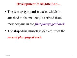 Embryological Development of ear ear.ppt