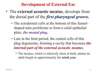 Embryological Development of ear ear.ppt