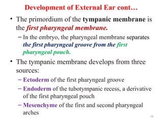 Embryological Development of ear ear.ppt