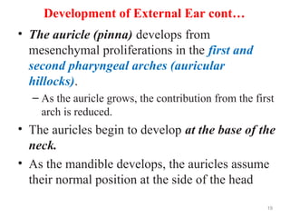 Embryological Development of ear ear.ppt