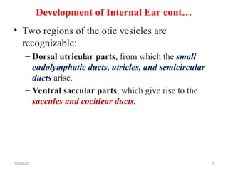 Embryological Development of ear ear.ppt