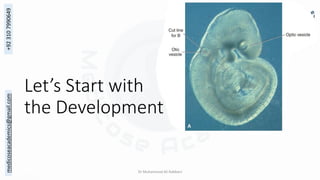 Development of Ear by Dr Muhammad Ali Rabbani | PDF