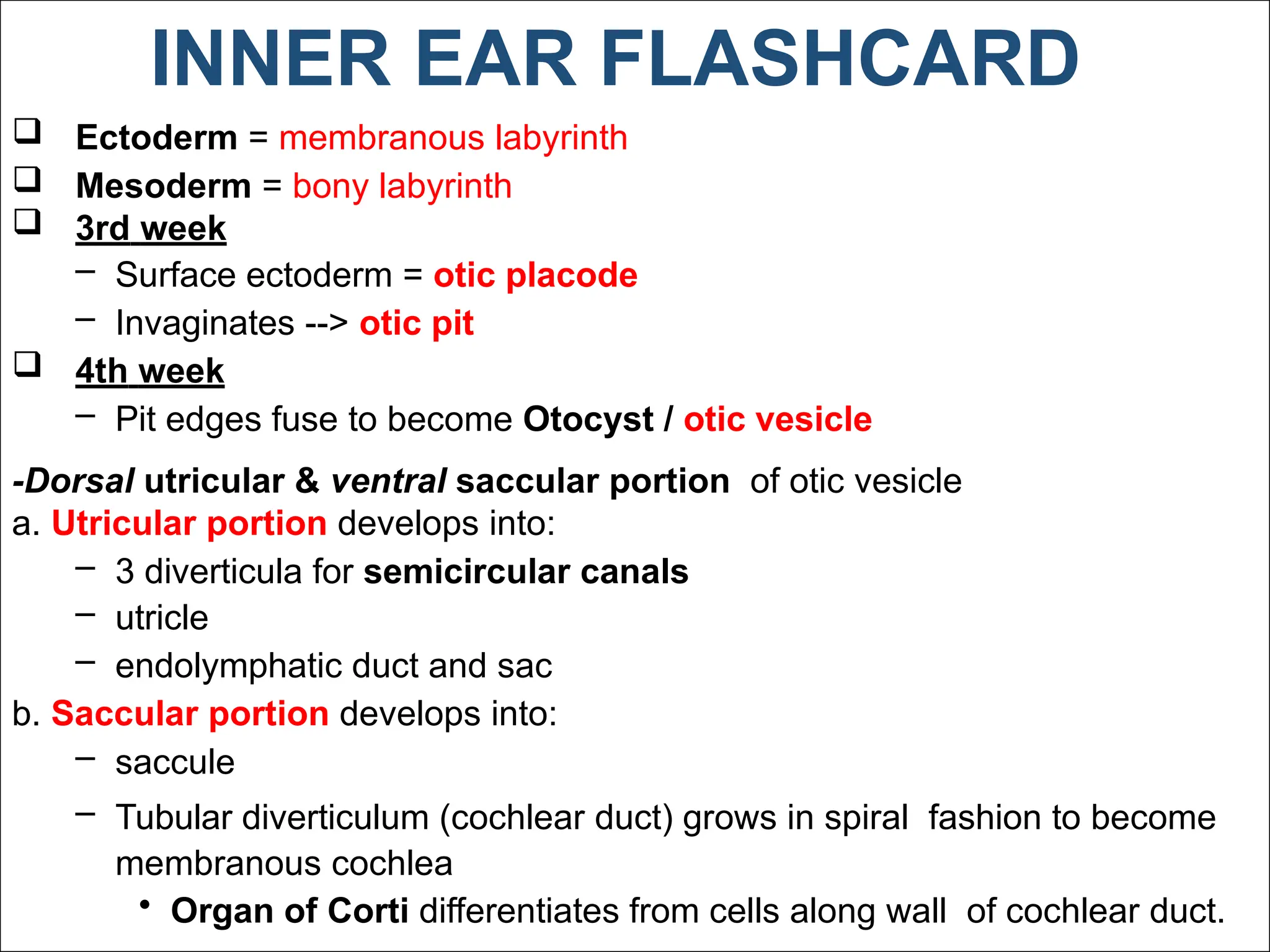 DEVELOPMENT OF EAR By Dr. Rabia Inam Gandapore.pptx