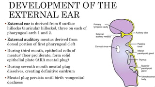 development of ear & eye.pptx