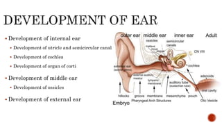 development of ear & eye.pptx