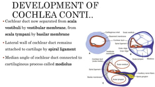 development of ear & eye.pptx