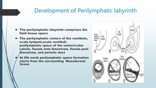 Development of ear ppt | PPTX