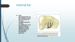 Development of ear ppt | PPTX