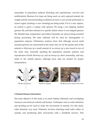 Development of ecologically based rodent management for sadc region | PDF