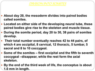 Development of embryo | PPTX
