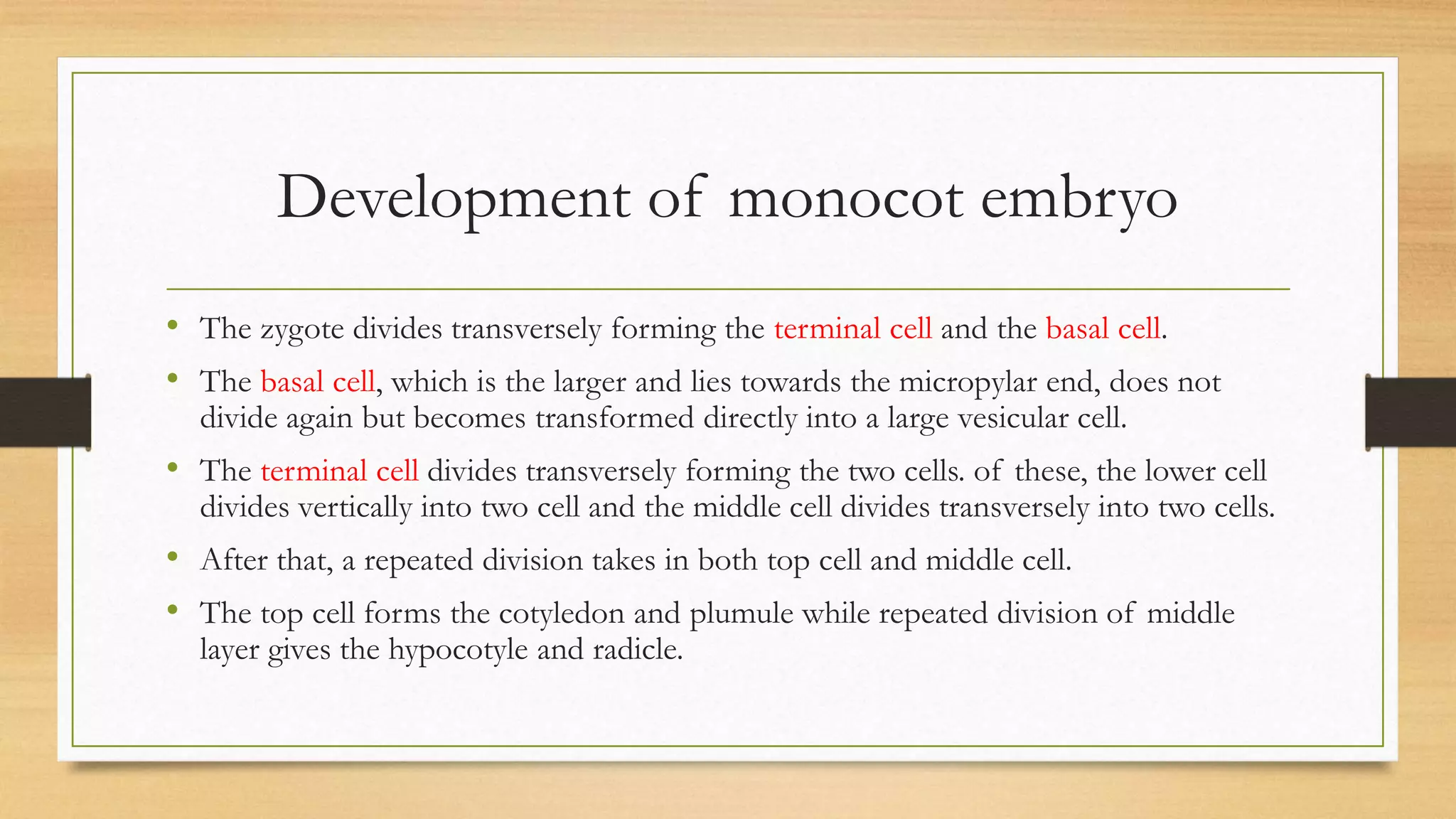Development of embryo/class12 biology | PPTX | Biological Sciences ...