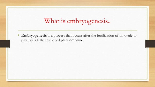 Development of embryo/class12 biology | PPTX | Biological Sciences ...