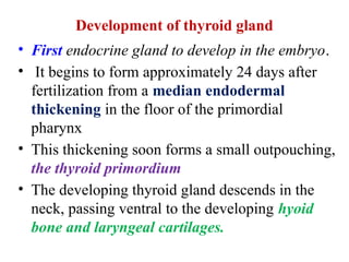 Embryology Development of endocrine system.pptx