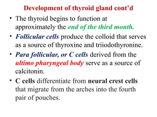 Embryology Development of endocrine system.pptx