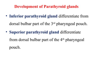Embryology Development of endocrine system.pptx