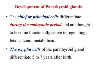 Embryology Development of endocrine system.pptx