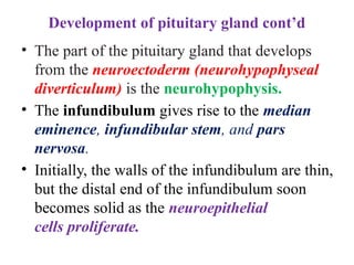 Embryology Development of endocrine system.pptx