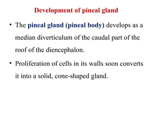 Embryology Development of endocrine system.pptx